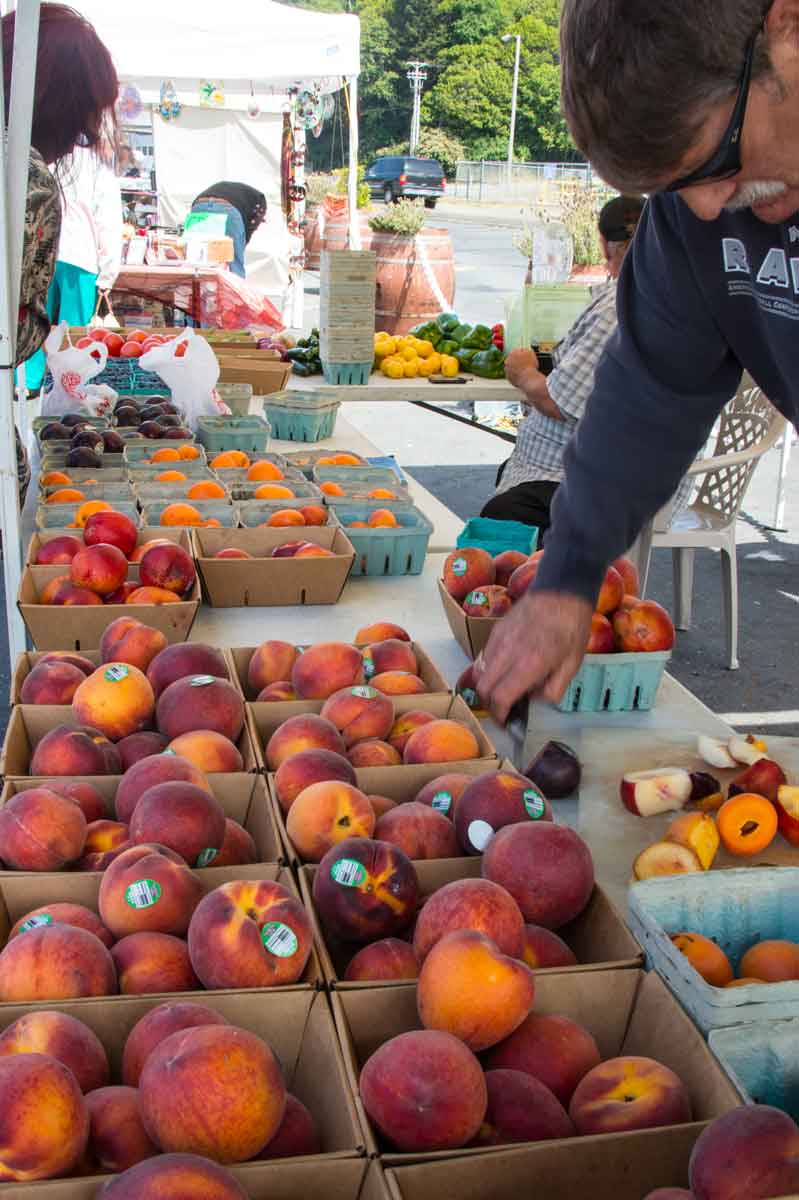 Kissack Adventures: Fog, Fruit, Fun and Food!!