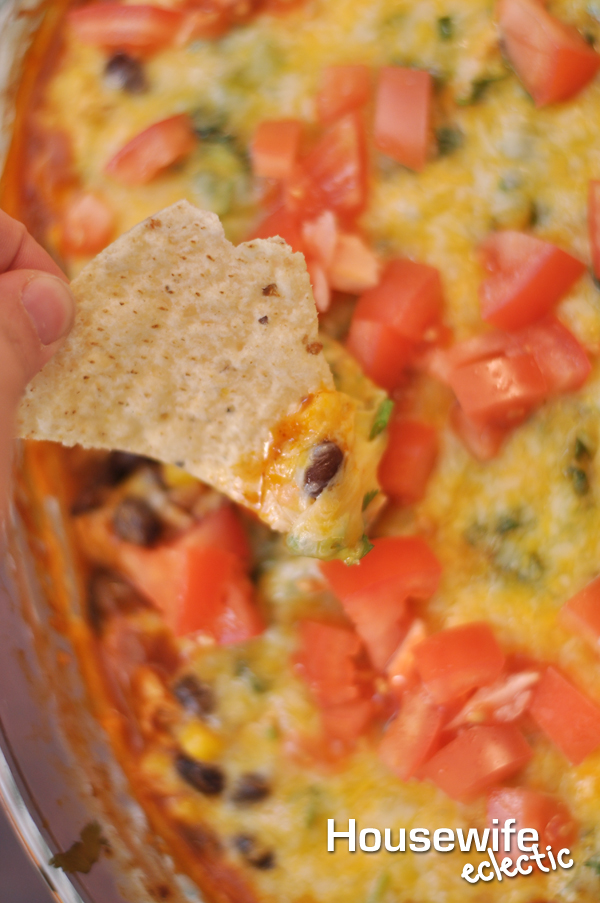 Fiesta Chicken Enchilada Dip - Housewife Eclectic