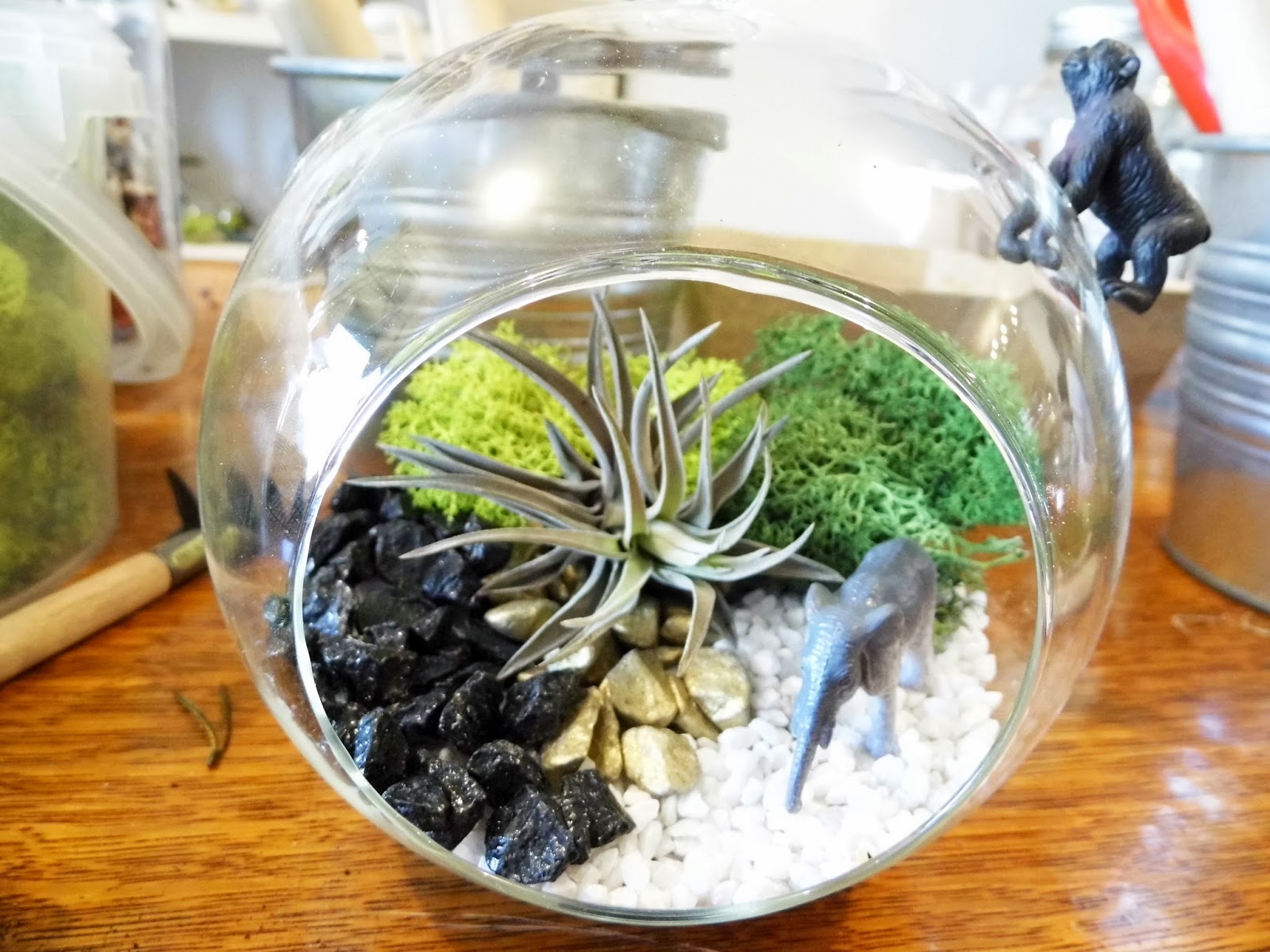 Fresh Coat of Paint: "T" is for Terrarium (How to Make a Whimsical ...