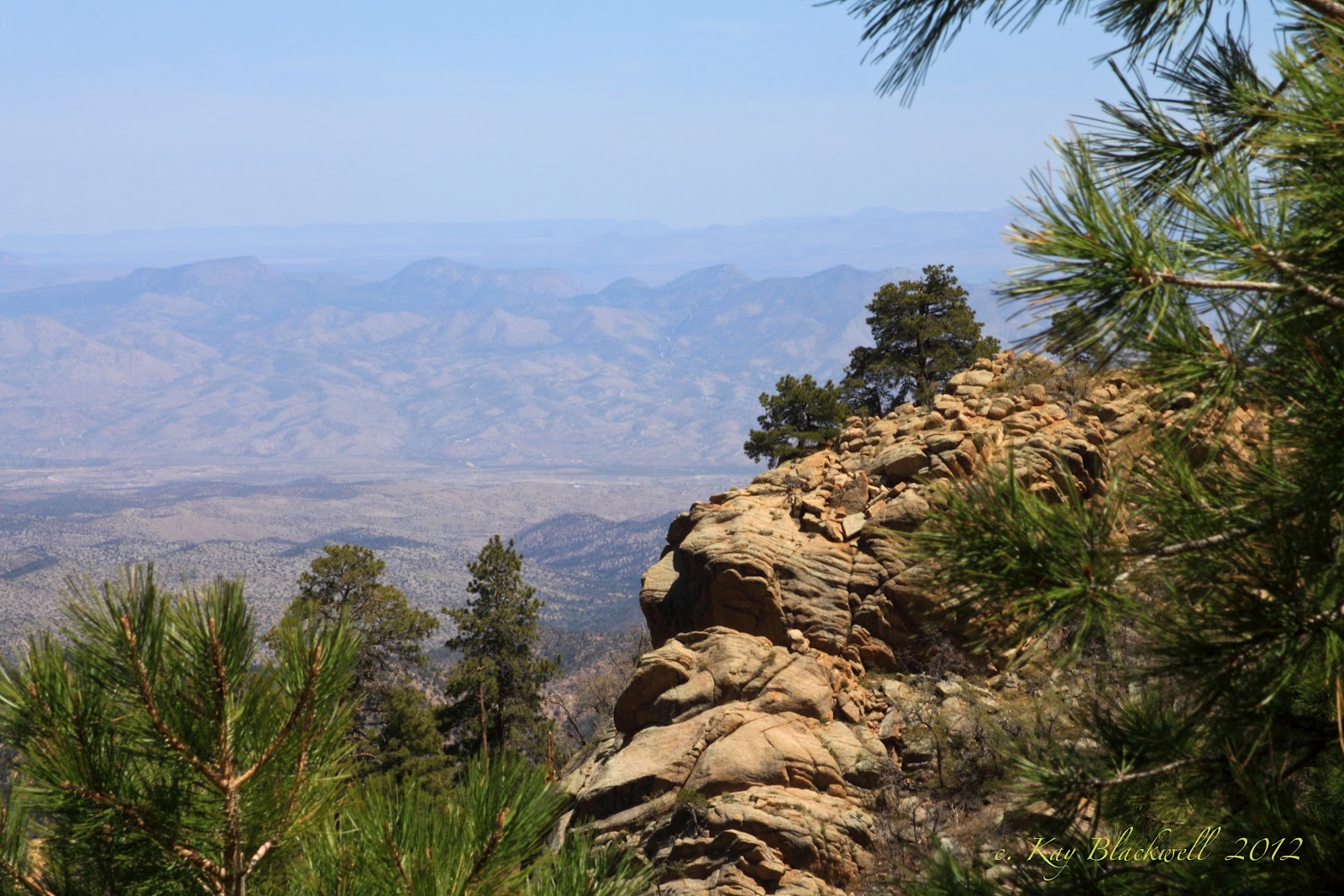 Around the Bend Friends ®: Aspen Peak - Hualapai Mountain Park - 5/5/12