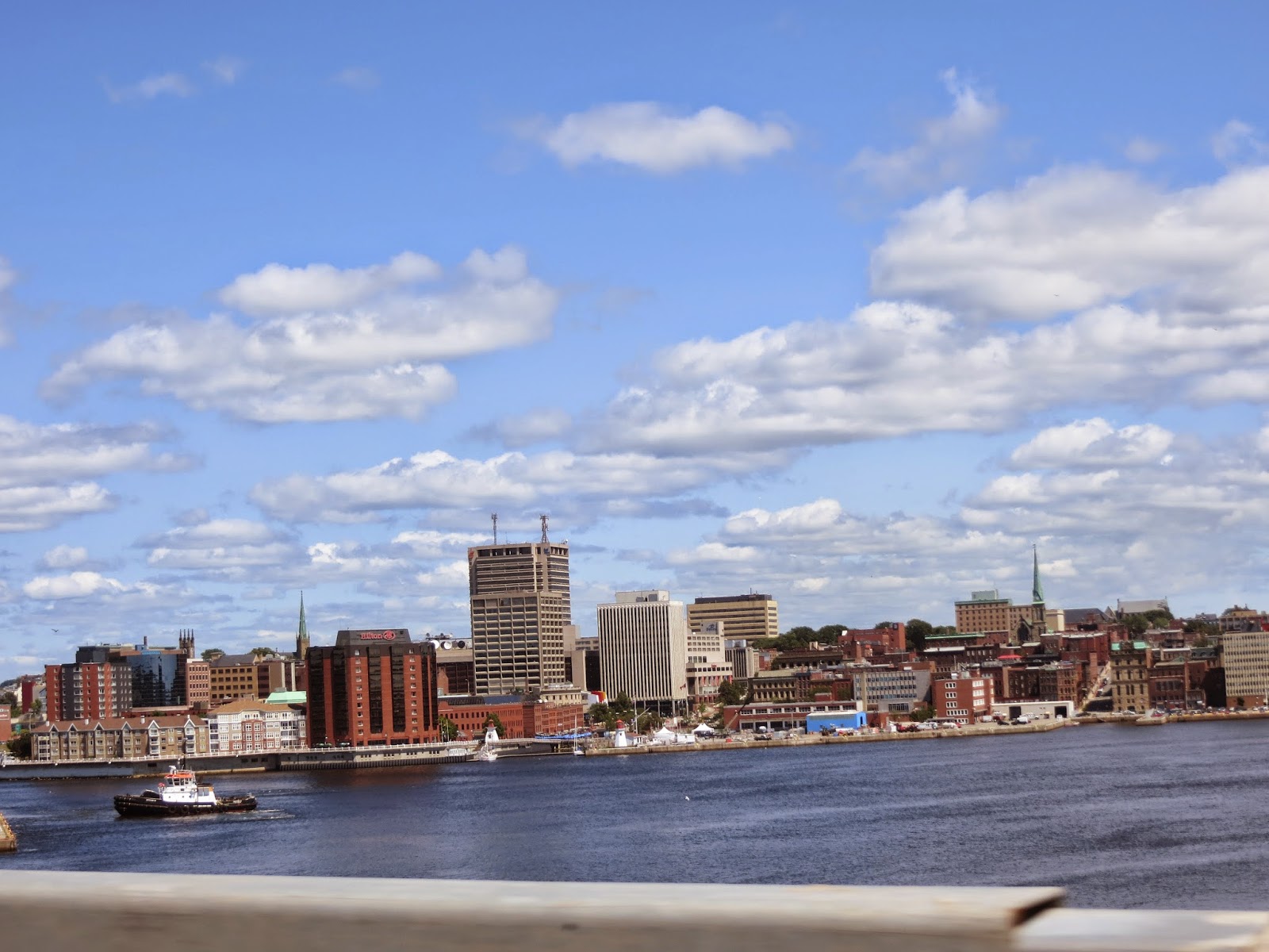 Snapshots from New Brunswick. | Southern Belle in Training