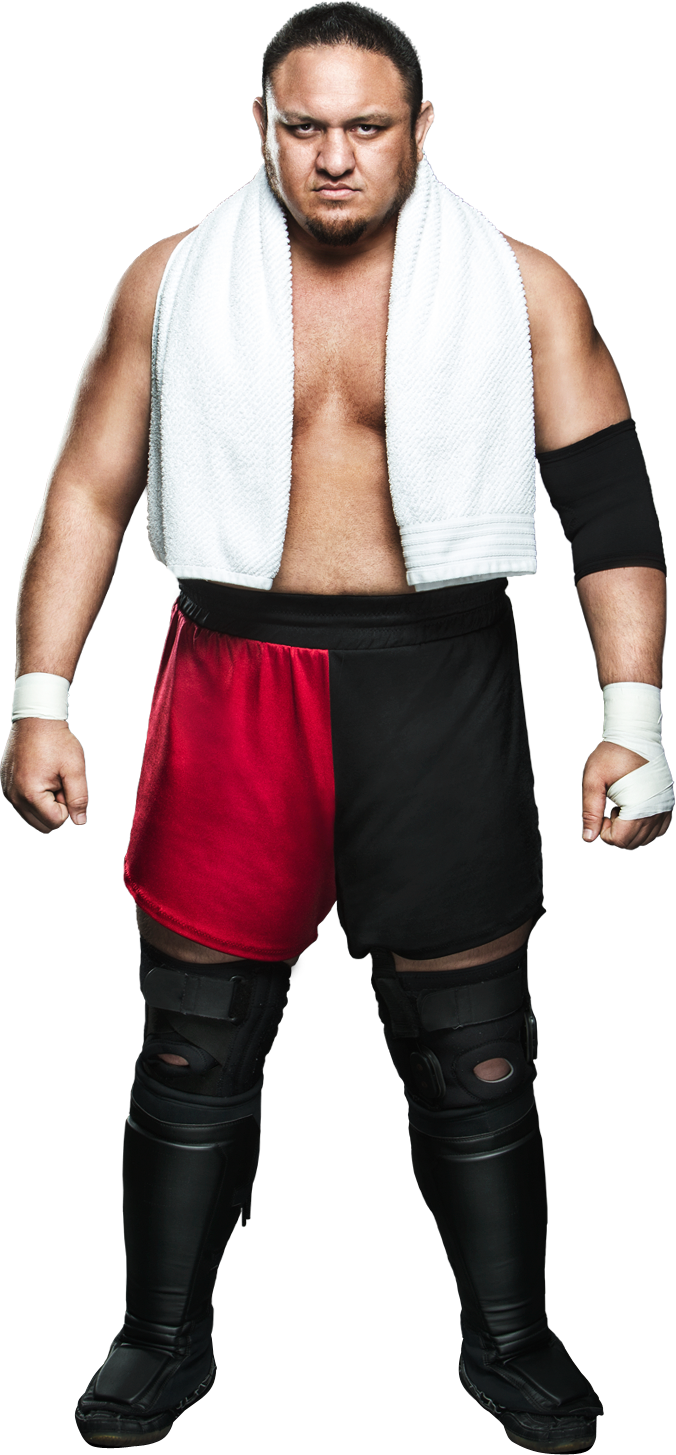 Pro-Wrestling OUTSIDER!: TOP 10: THE GREATEST NXT SUPERSTARS