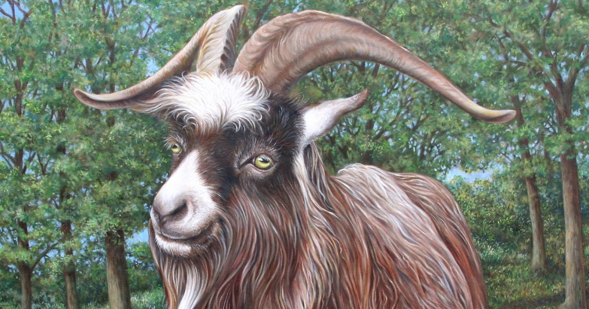 KARREL's Creative Path: Dutch Landrace Goat Buck oil portrait