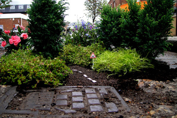 GALLERY O: THE POTHOLE GARDENS OF STEVEN WHEEN