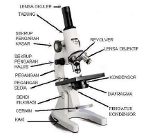 Teknik pembuatan sayatan tipis batuan - Our Akuntansi