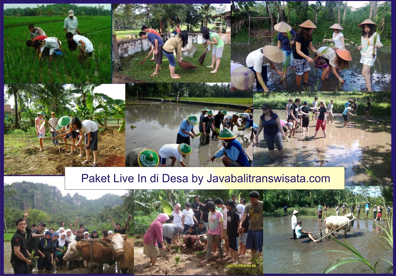 Desa Wisata Untuk Program Live in di Yogyakarta sebagai Wisata ...