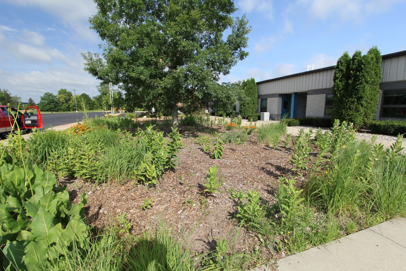 Isabella Conservation District Environmental Education Program: Native ...