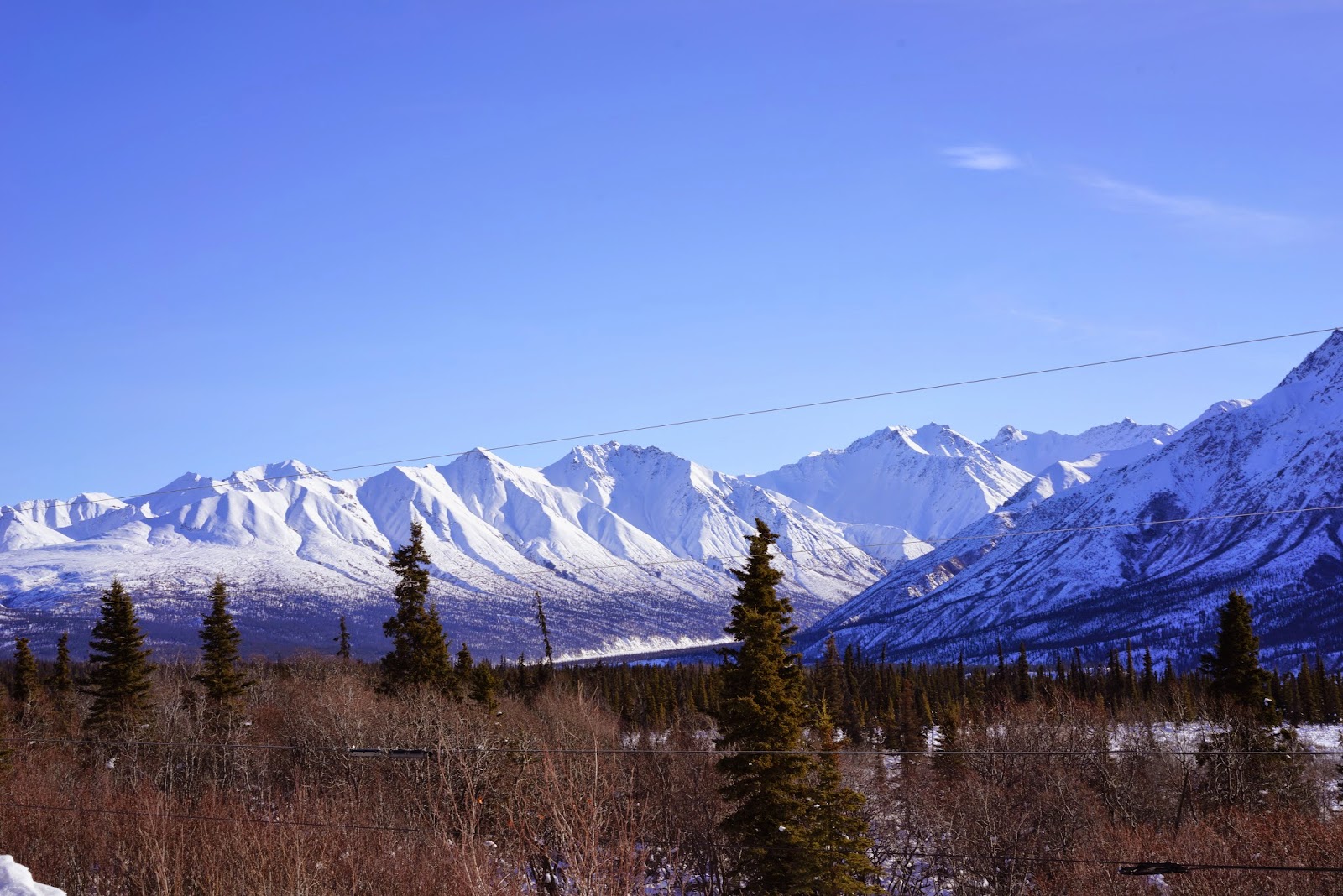 Lost But Loving It...In Alaska!: Alaska via Land, Day 5, The Finish Line!!
