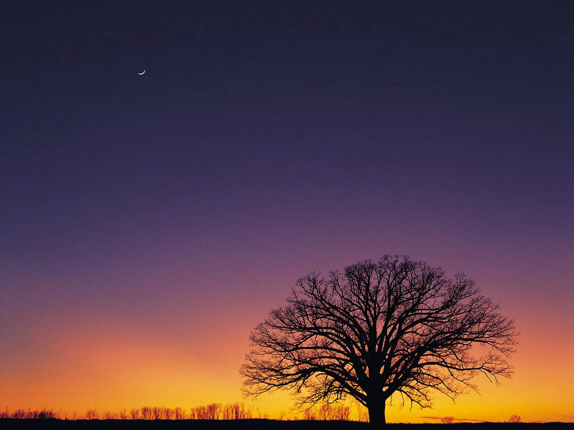 world beautiful images: 35 Beautiful Sunset Real Photography & Wallpapers