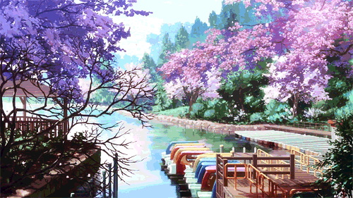 Gambar Animasi Bergerak Bunga Sakura Jepang Yang Paling Cantik