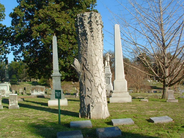 If These Bones Could Talk: A History and Exploration of Elmwood ...