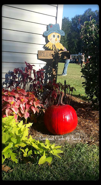 Caramel Curlz & Swirls: Adventures at the Pumpkin Patch