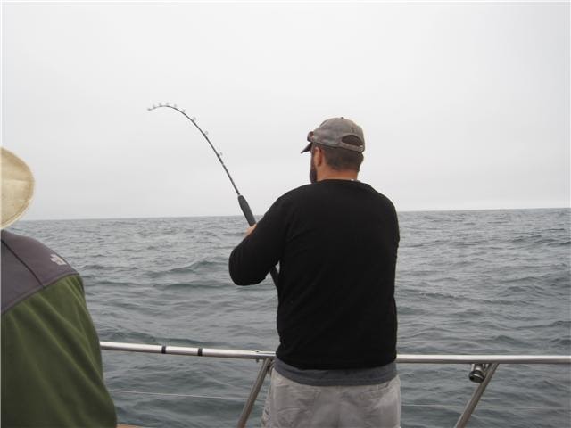 Bryanlikestofish: Silver Bullet