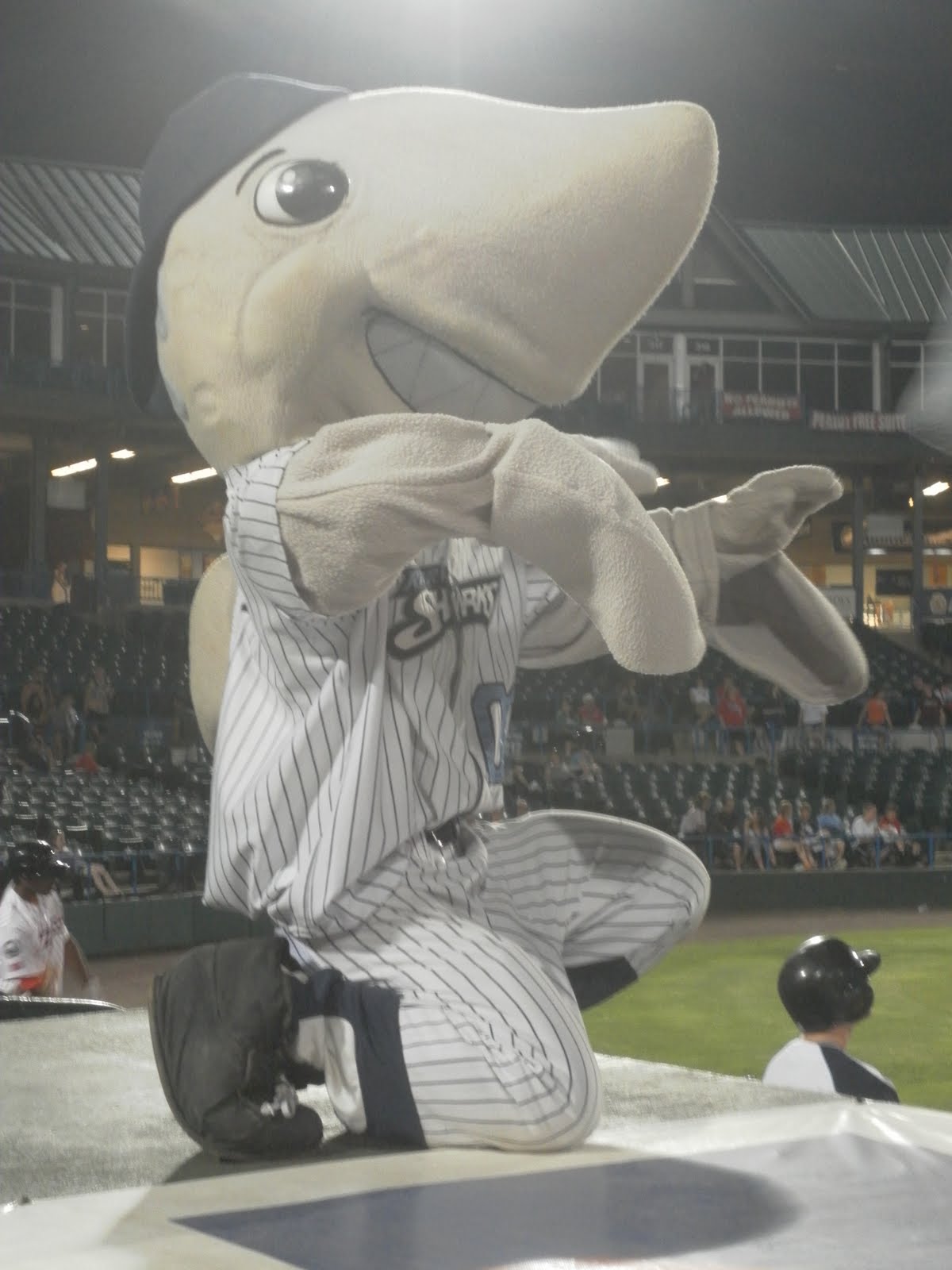 Shark Bytes: A Camden RiverSharks Blog: Mascot Randomness