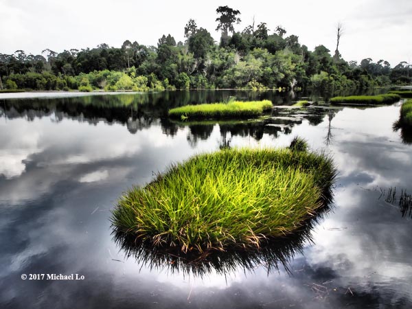 The rainforests of Borneo & Southeast Asia: Visiting jungle of Brunei ...
