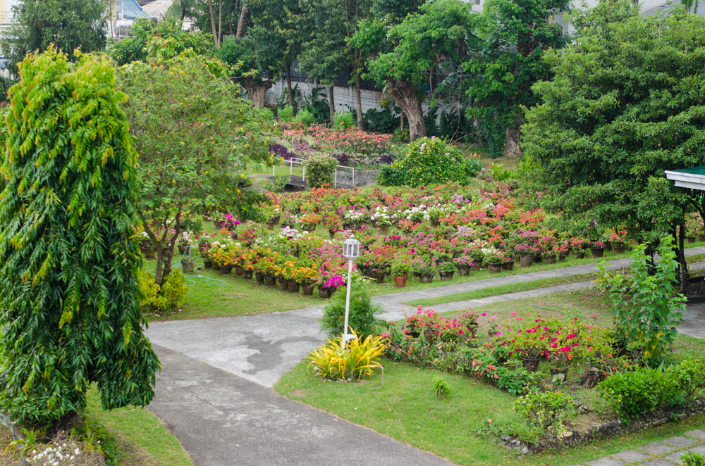 Iloilo: The Lopez Mansion - Nelly Garden
