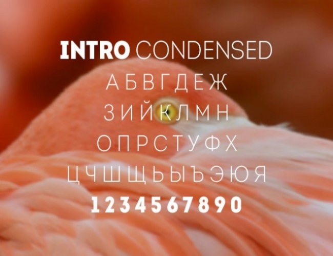 50 cool free fonts : Your BLog Name|