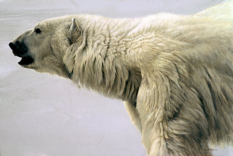 outdoorFun: Robert Bateman: wilderness painter