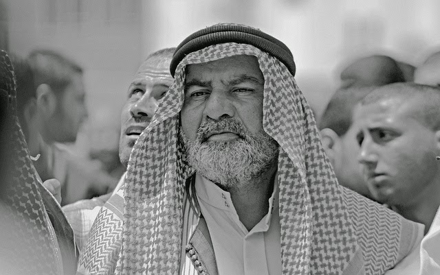 Anotaciones al margen: La Gaza de David Segarra