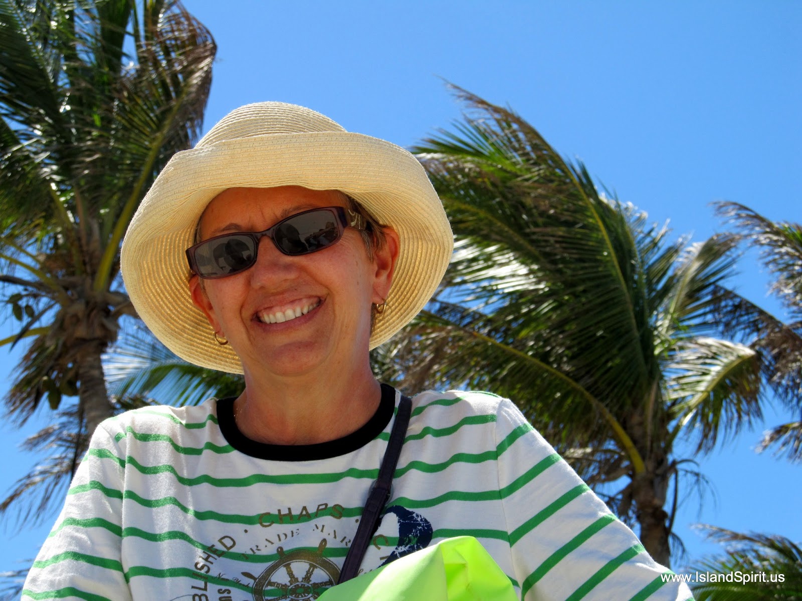 Jib Room and Beyond - svIslandSpirit.com