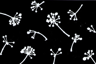 Hannah - Graphic Design: Rayograms