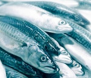 Blog Salud es Health | Antioxidantes - Anti edad: Pescado Azul | OMEGA ...