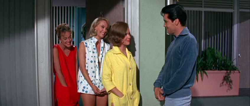 Love Music Wine and Revolution: Girl Happy 1965