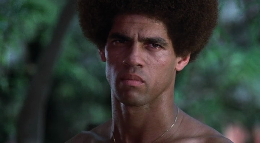 The Department of Afro American Research, Arts and Culture