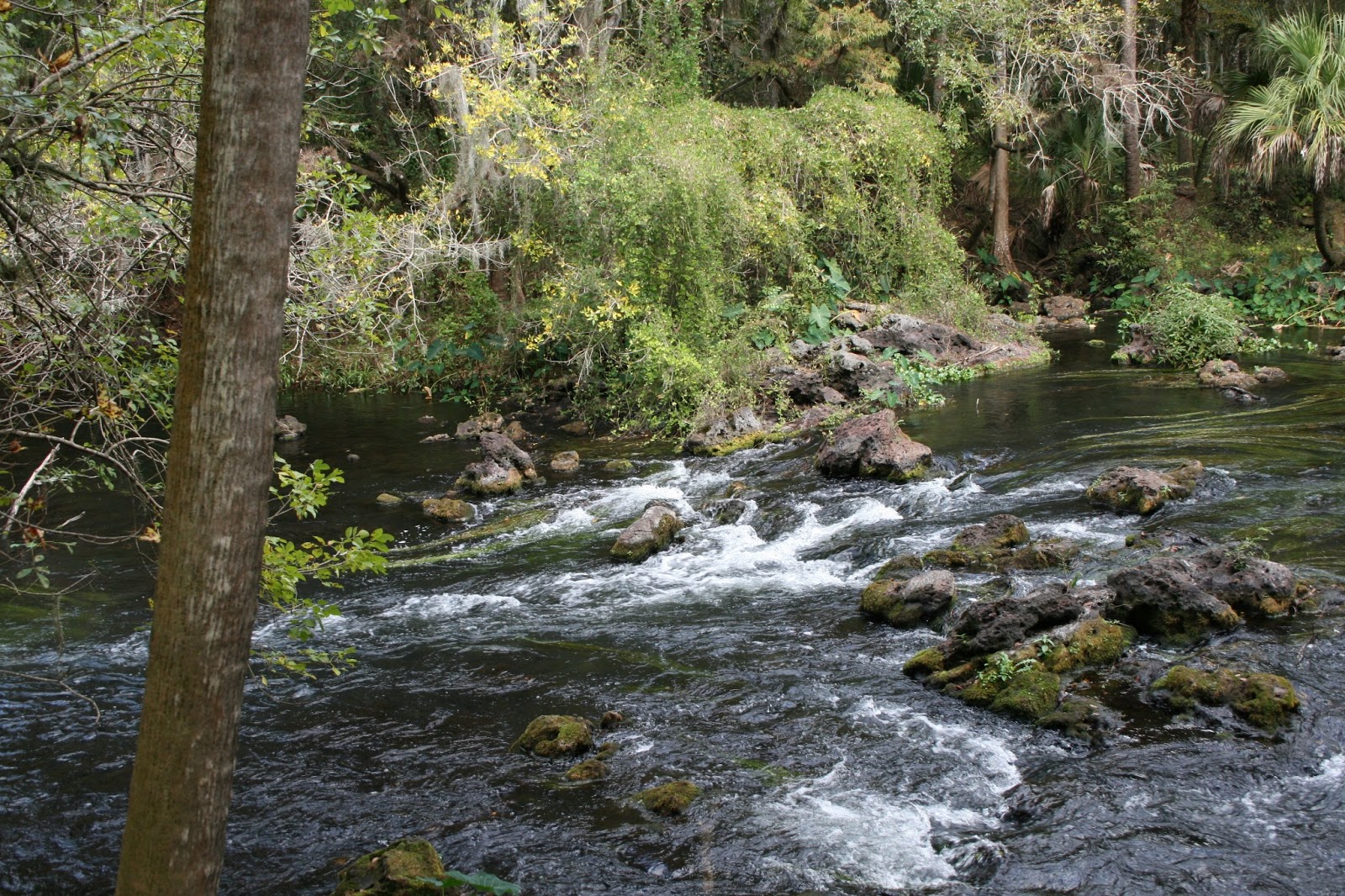 The Tampa Bay Hiker: Hillsborough River State Park