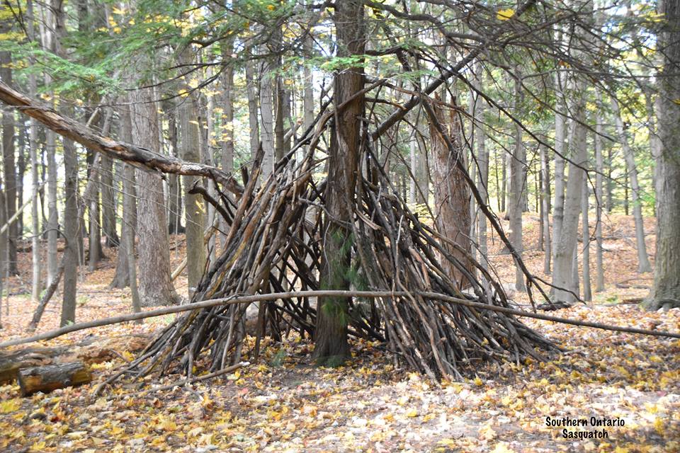 Amazing Structures Created By Bigfoot! ~ The Crypto Crew