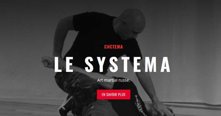 France Systema: Les cours de Systema avec Laurent