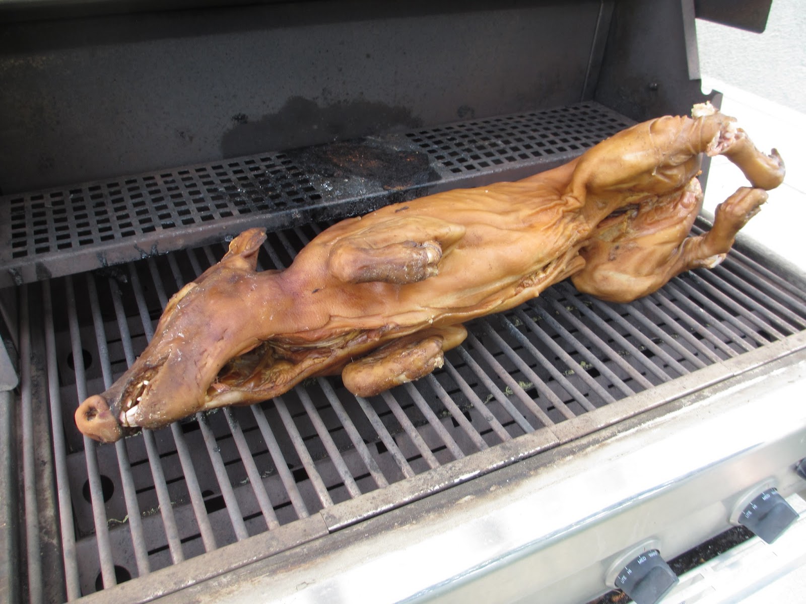 Cannundrums: Hickory Smoked Suckling Wild Boar