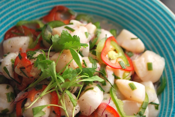 Ceviche for Beginners: Easy Key Lime Scallop Ceviche - Always Order Dessert