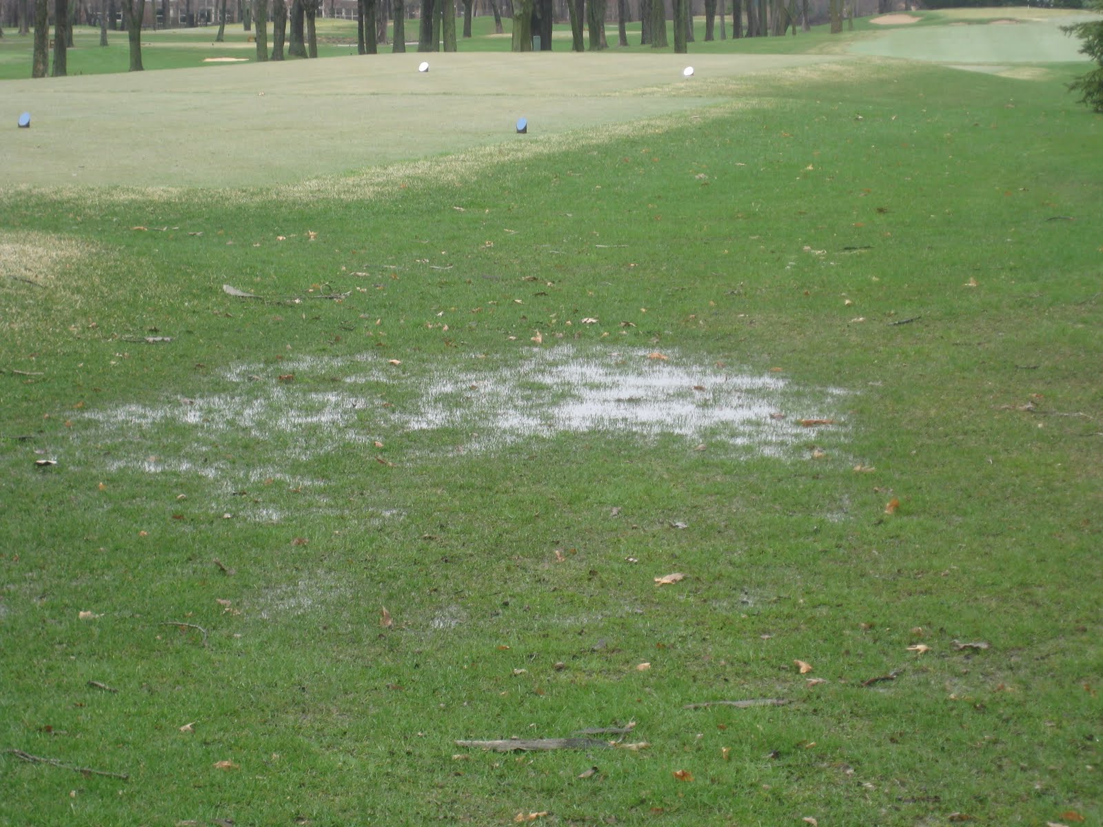 Northmoor Country Club Golf Course Operations: Wet Conditions