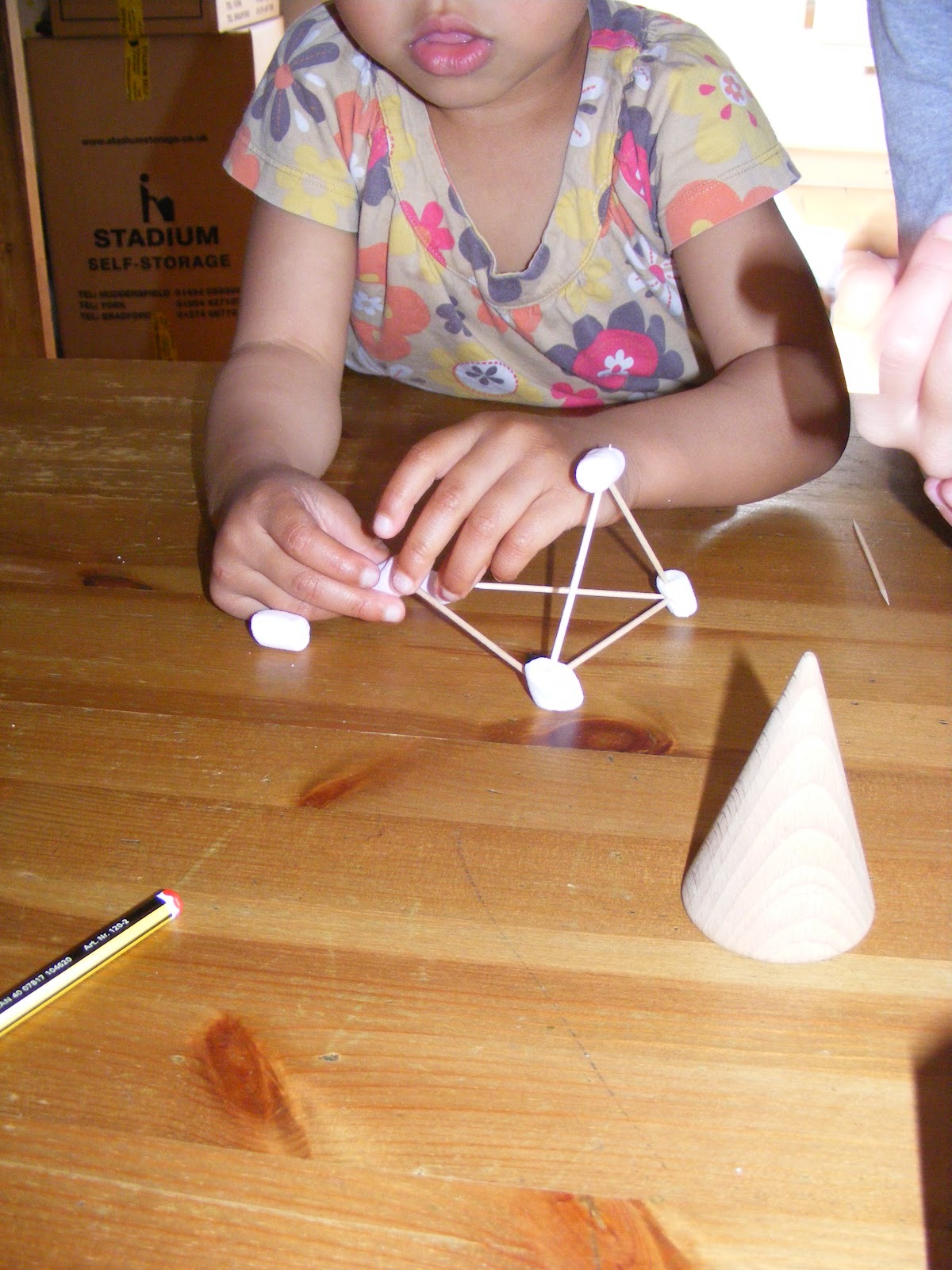 Homeschool Escapade: 3D Shapes mini unit