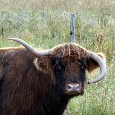 À la recherche du temps à perdre: 2012