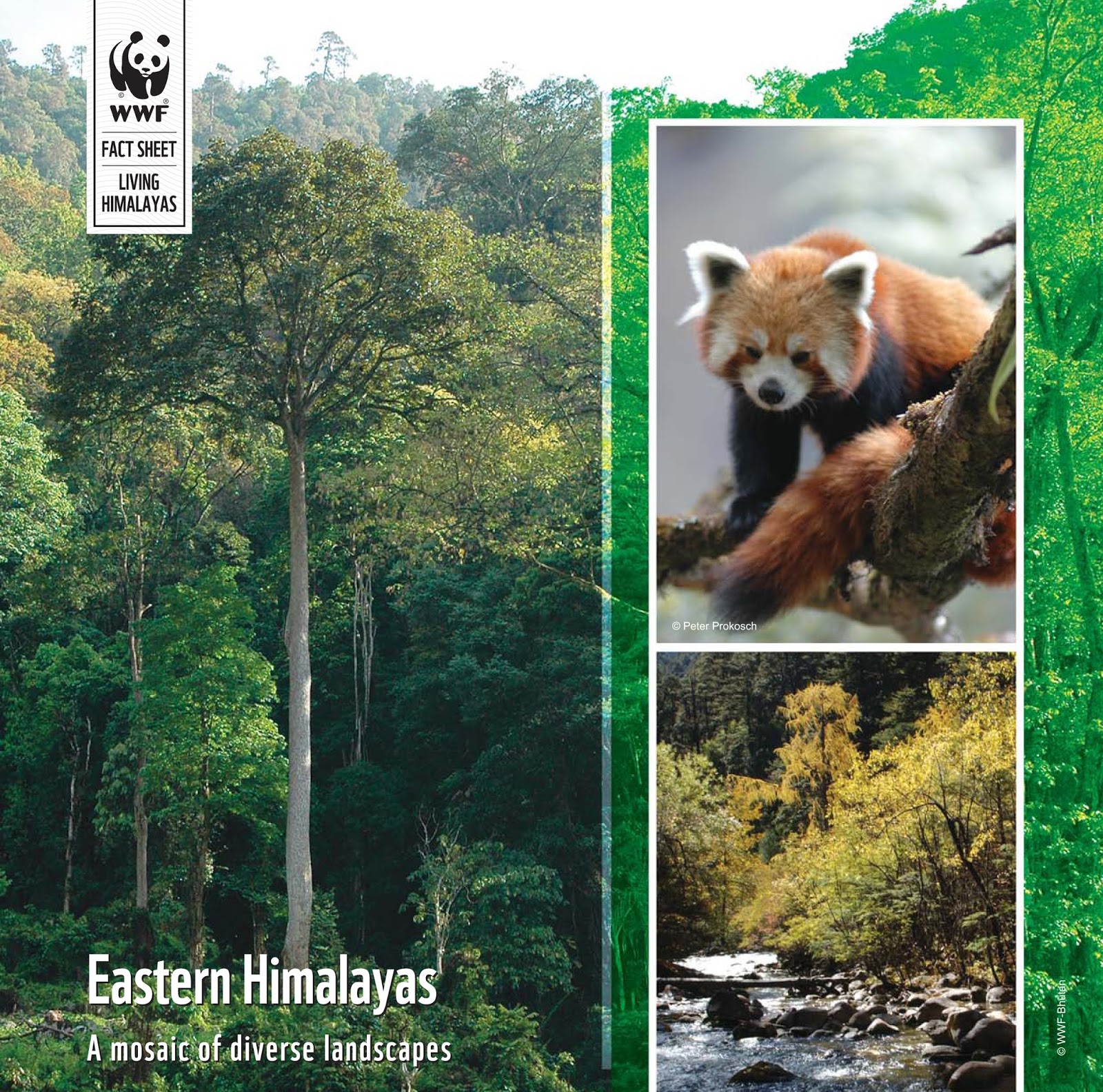 Mother Earth: Geology of Himalaya