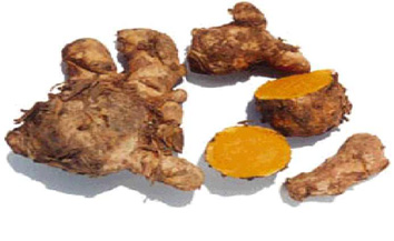 For your smile ;): STANDARISASI RIMPANG TEMULAWAK