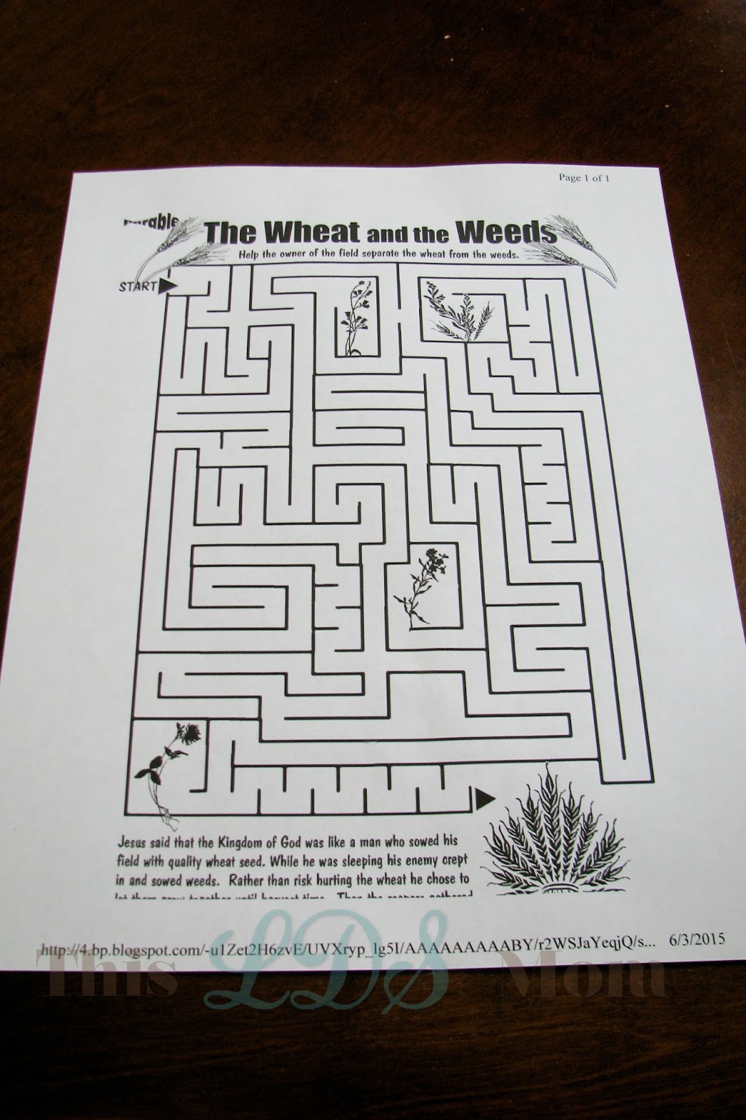 This Lds Mom Parables Parable Of The Wheat And The Tares