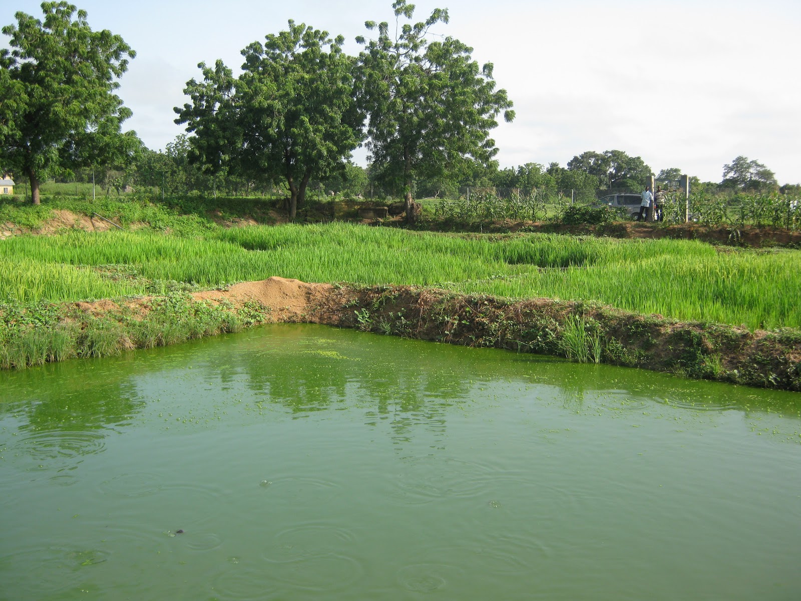 National Inst. for Freshwater Fisheries Research: Research Facilities