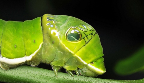 cErLetuOp-LetuOp.com: HaRi² bAgaiKaN BeLUnCaS