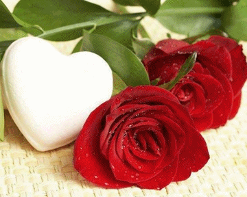 20+ Gambar Gif Bunga Mawar - Gambar Bunga Indah