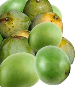 What you need to know about Bush Mango Seed