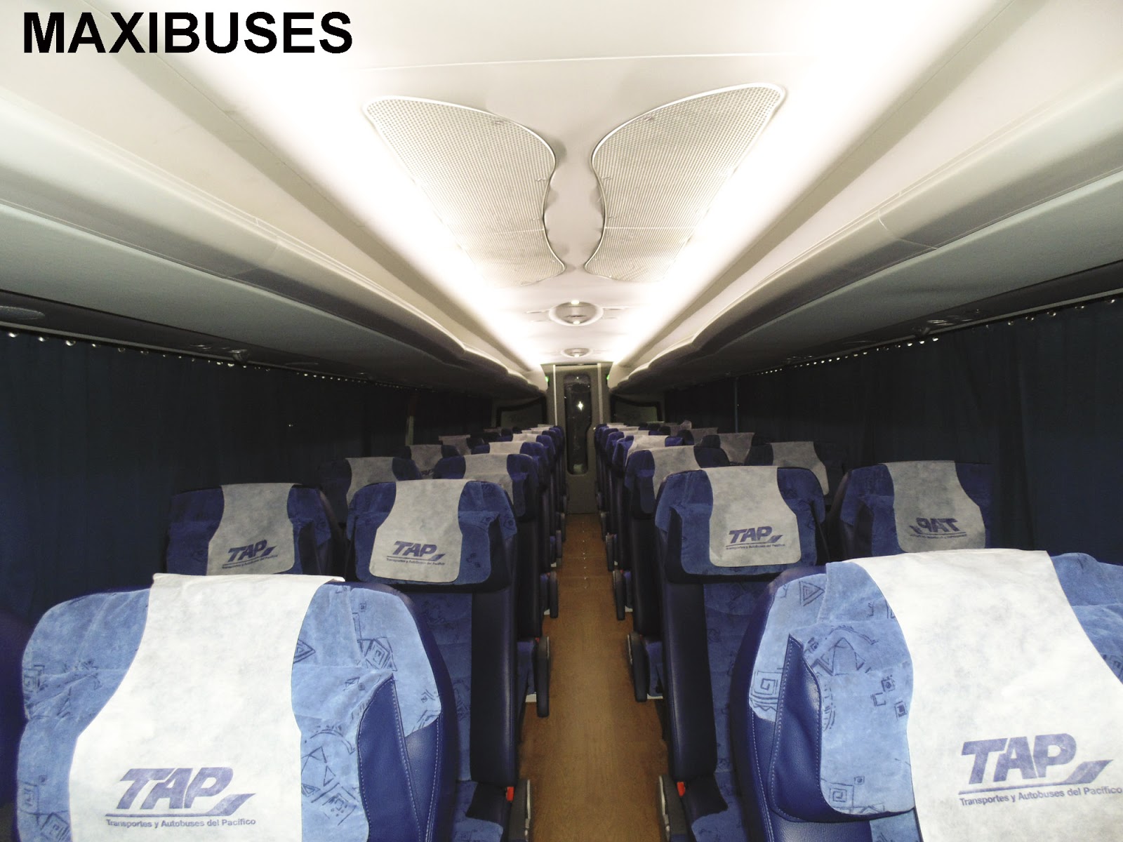 MAXIBUSES: TRANSPORTES Y AUTOBUSES DEL PACÍFICO, CONFORT (TAP CONFORT)