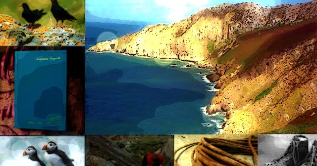 Footless Crow: Where have all the Birds gone?