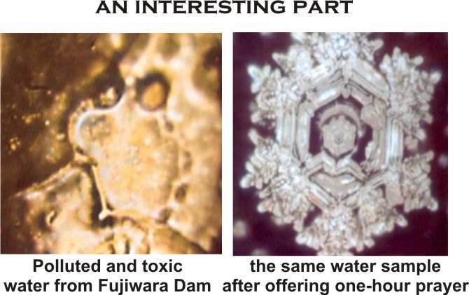 The Water Crystals Experiment | Life N Canvas