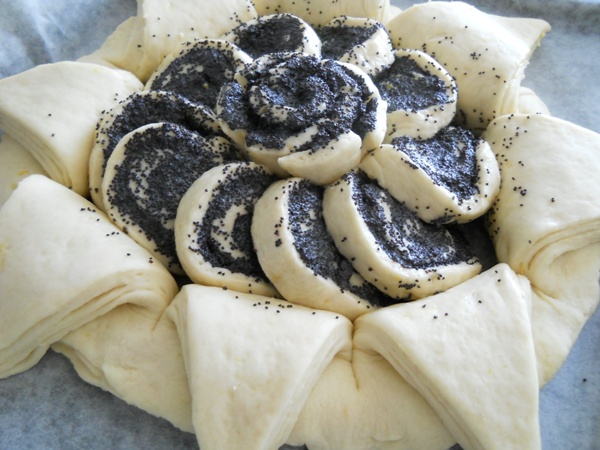 Simplicity - Simplitate in bucatarie: Floarea soarelui - Cozonac cu mac