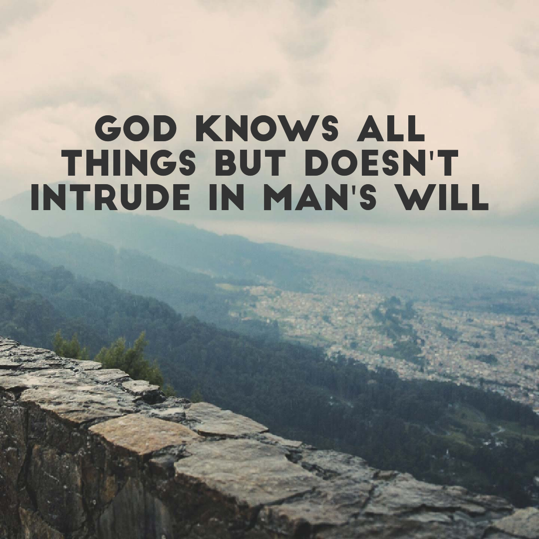 Knowing the truth about predestination ~ BelieversHub