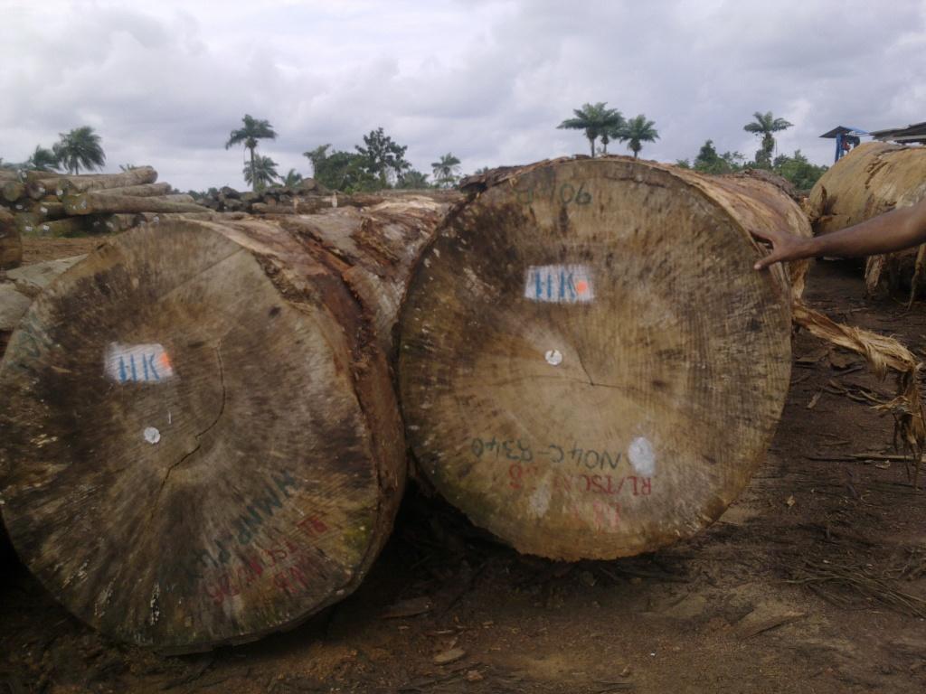 Liberianscraps: African Hard Wood logs ---- available for sale