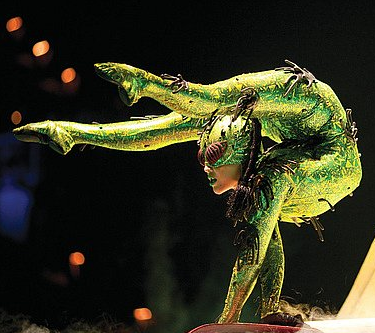 Inside the Conservator's Studio: Conserving a Vaudeville contortionist ...